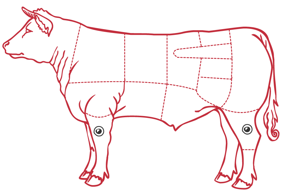 Main cuts Beef : The Marbled Meat Club